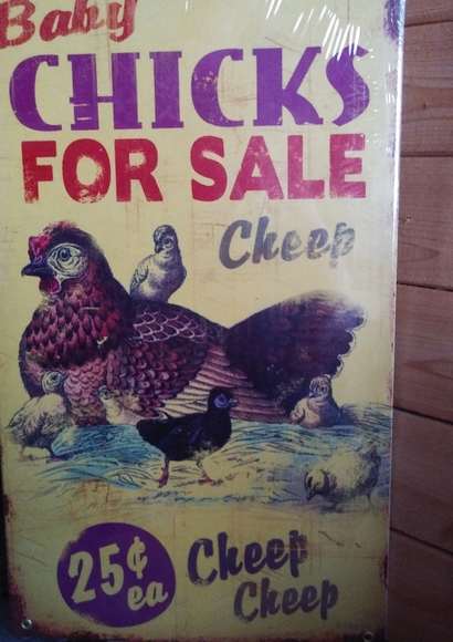 Wall Decor | Baby Chicks Metal Sign 8x14 | Poshmark